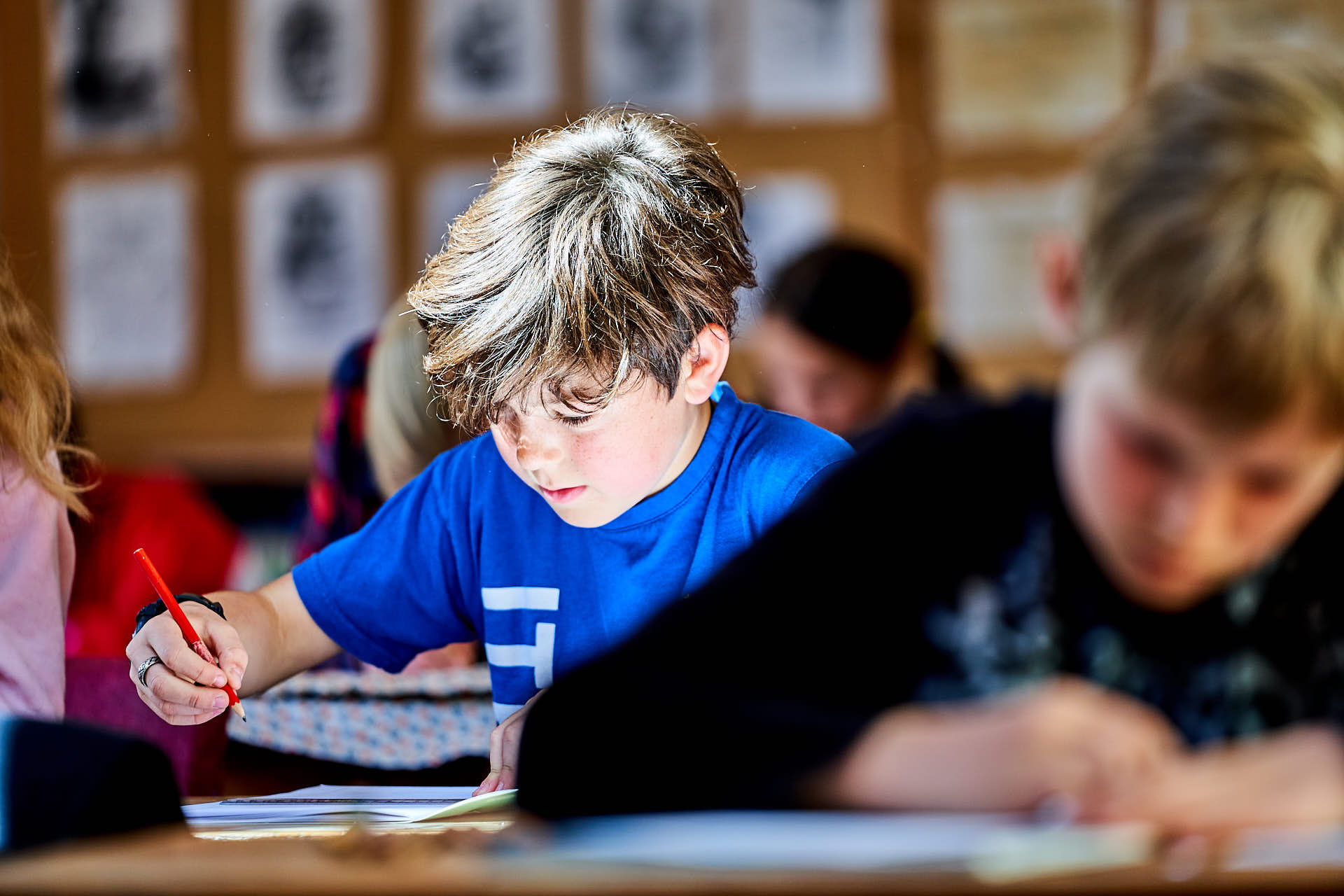 Home - Raphael House Rudolf Steiner School