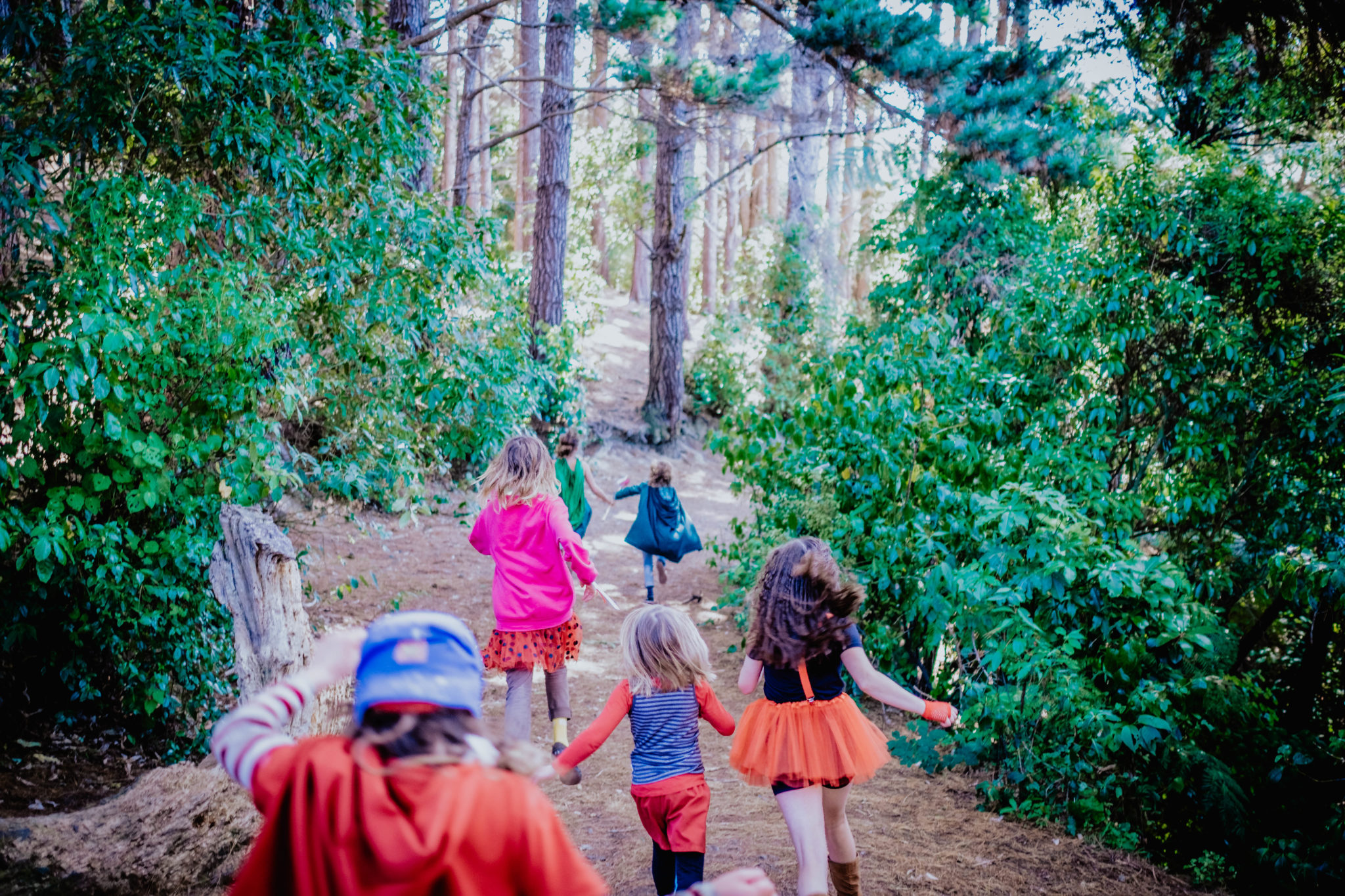 Home - Raphael House Rudolf Steiner School