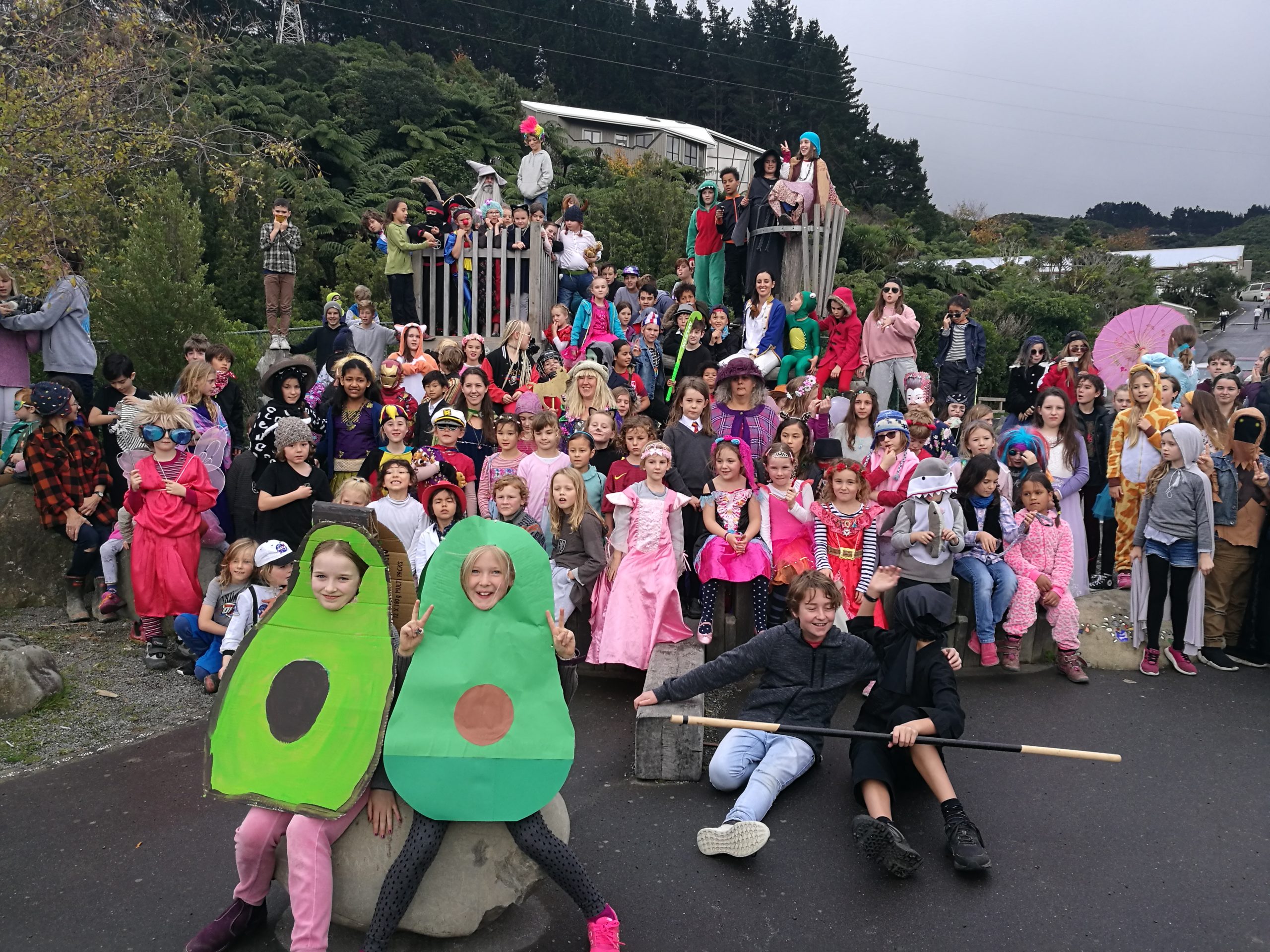 Community - Raphael House Rudolf Steiner School